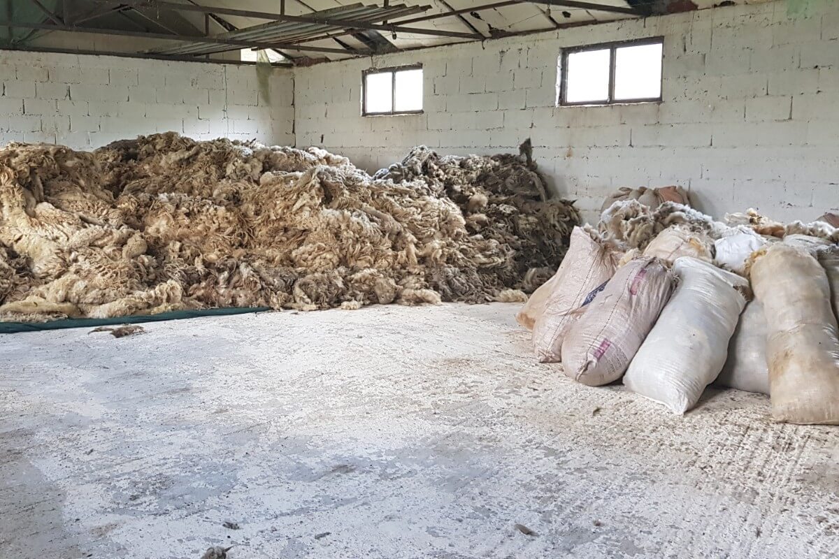 #110 First Wool Collection - Elisabeth van Delden